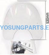 Hyosung Parts EU - Hyosung Aquila Screen GV250