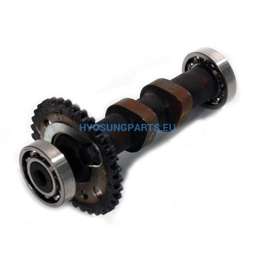 Hyosung Parts EU - Hyosung Intake Camshaft Assy RT125D RX125SM